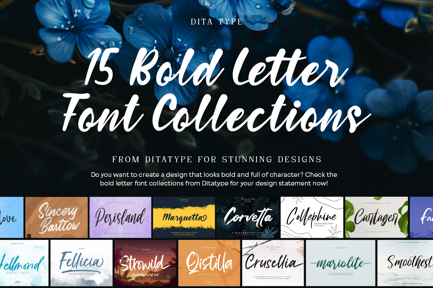 15 Bold Letter Font Collections from Ditatype for Stunning Designs ...